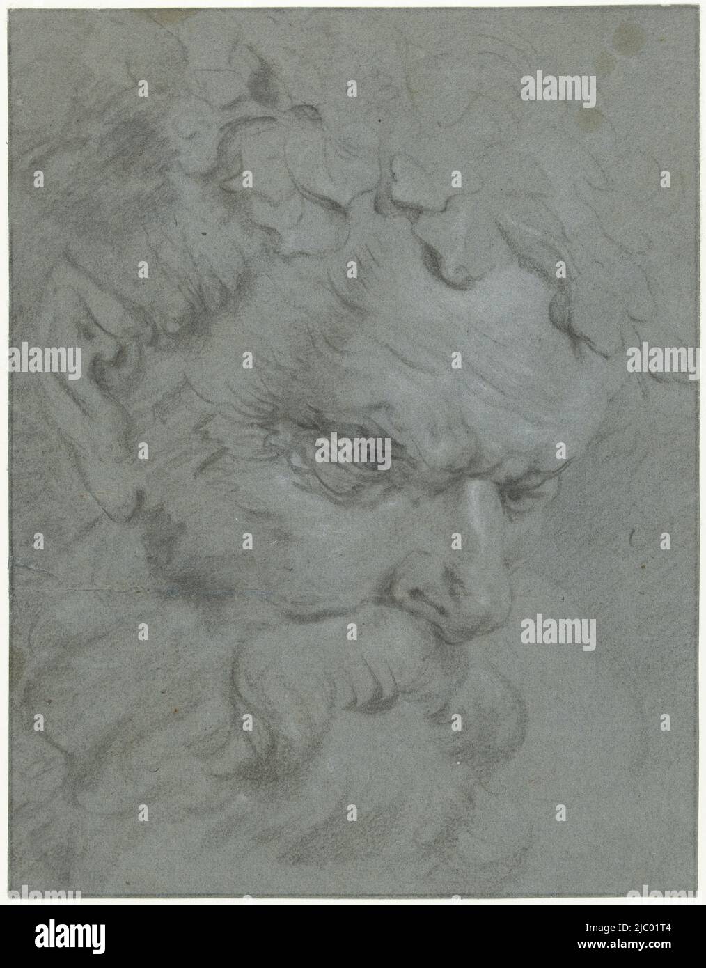 Bacchus head, looking down to the right, Anthony van Dyck (possibly ...