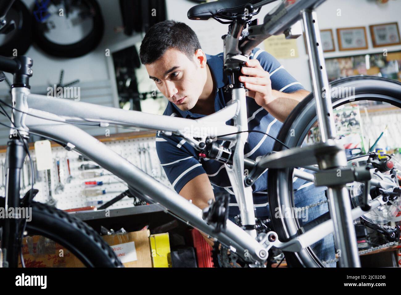 Man repairing bike in bike shop Stock Photo - Alamy