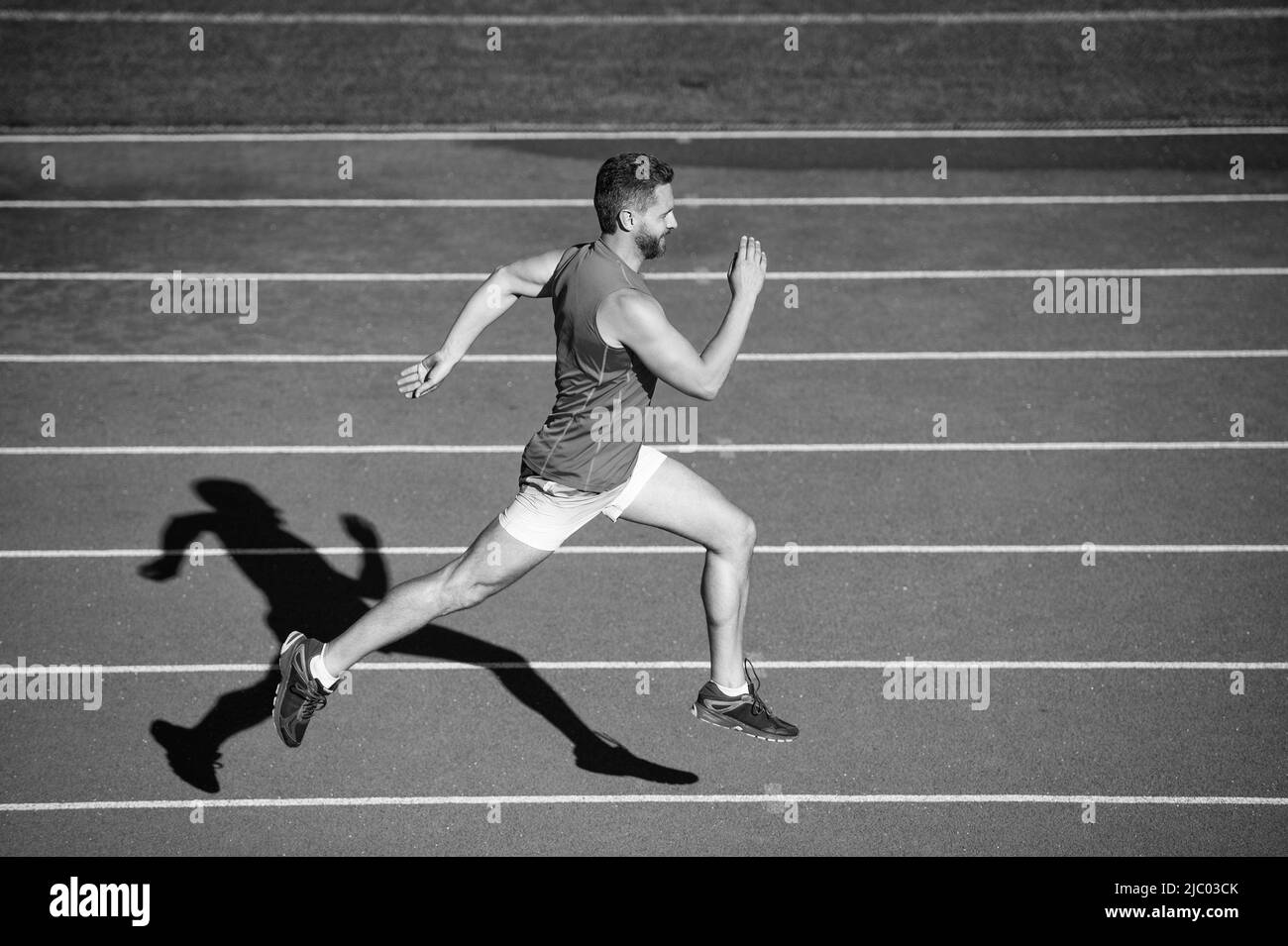 athletic muscular male running on racetrack at outdoor stadium, aim ...