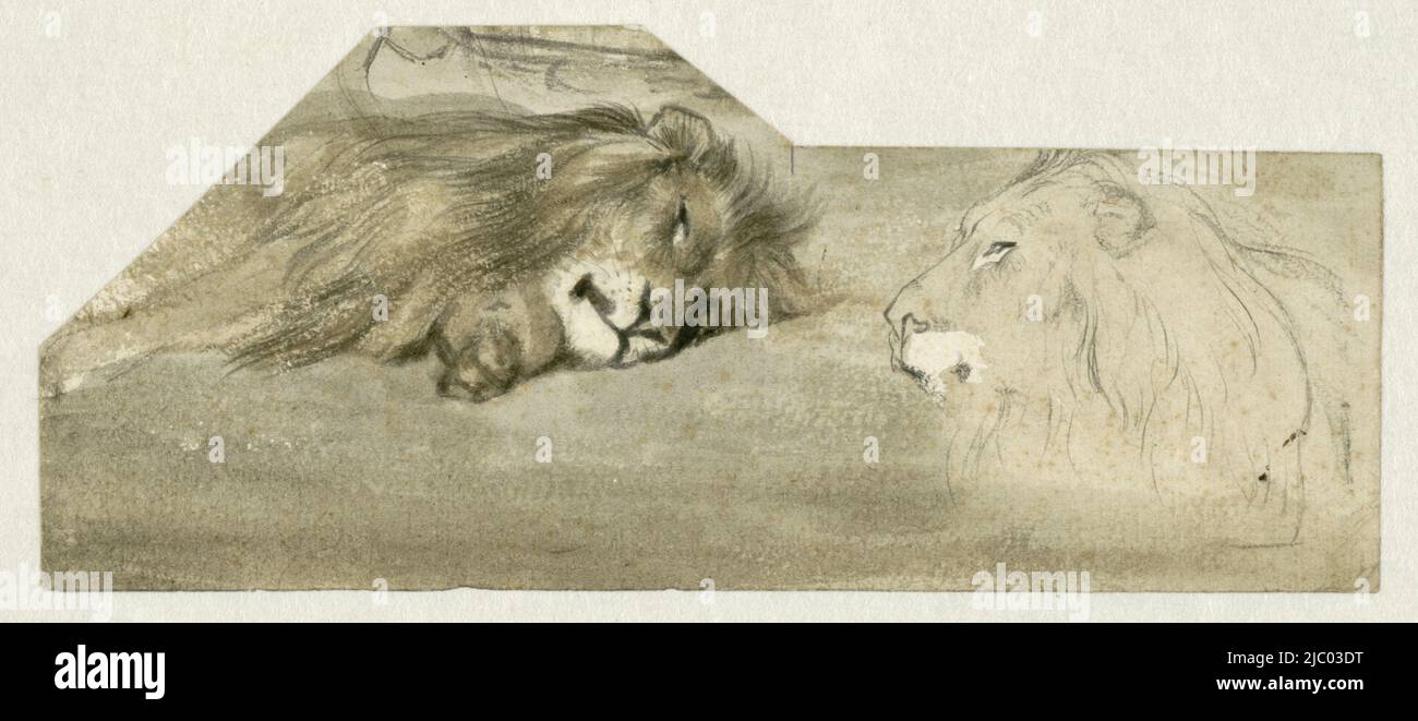 Studies of two lions, Wouter Johannes van Troostwijk, 1792 - 1810 ...
