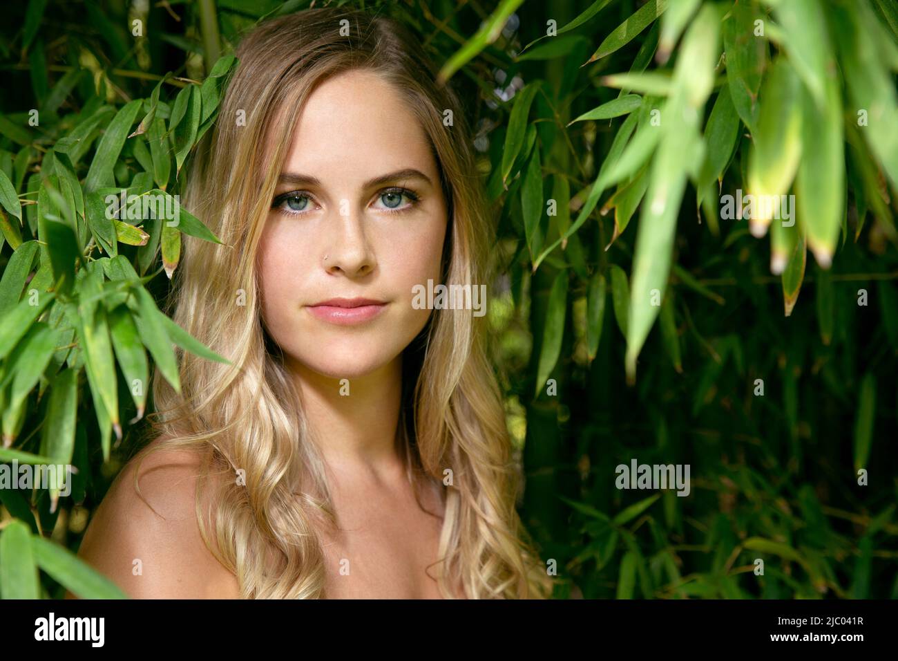 Bamboo tree close up hi-res stock photography and images - Alamy