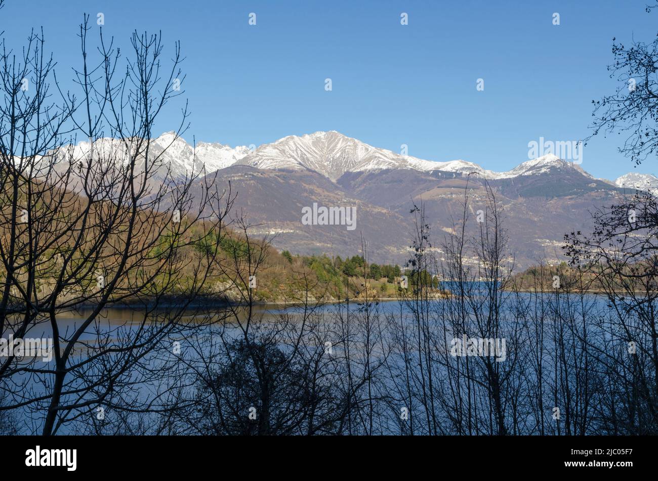 Alpine Lake Como with Tree Branch and Snow-capped Mountain in Lombardy ...