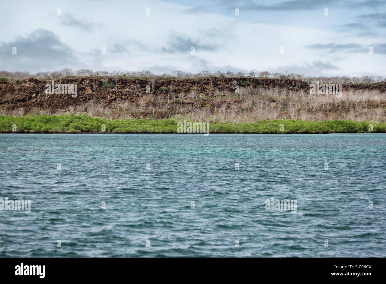 Ecuador, Galapagos Islands, Trees and cliff along sea Stock Photo - Alamy