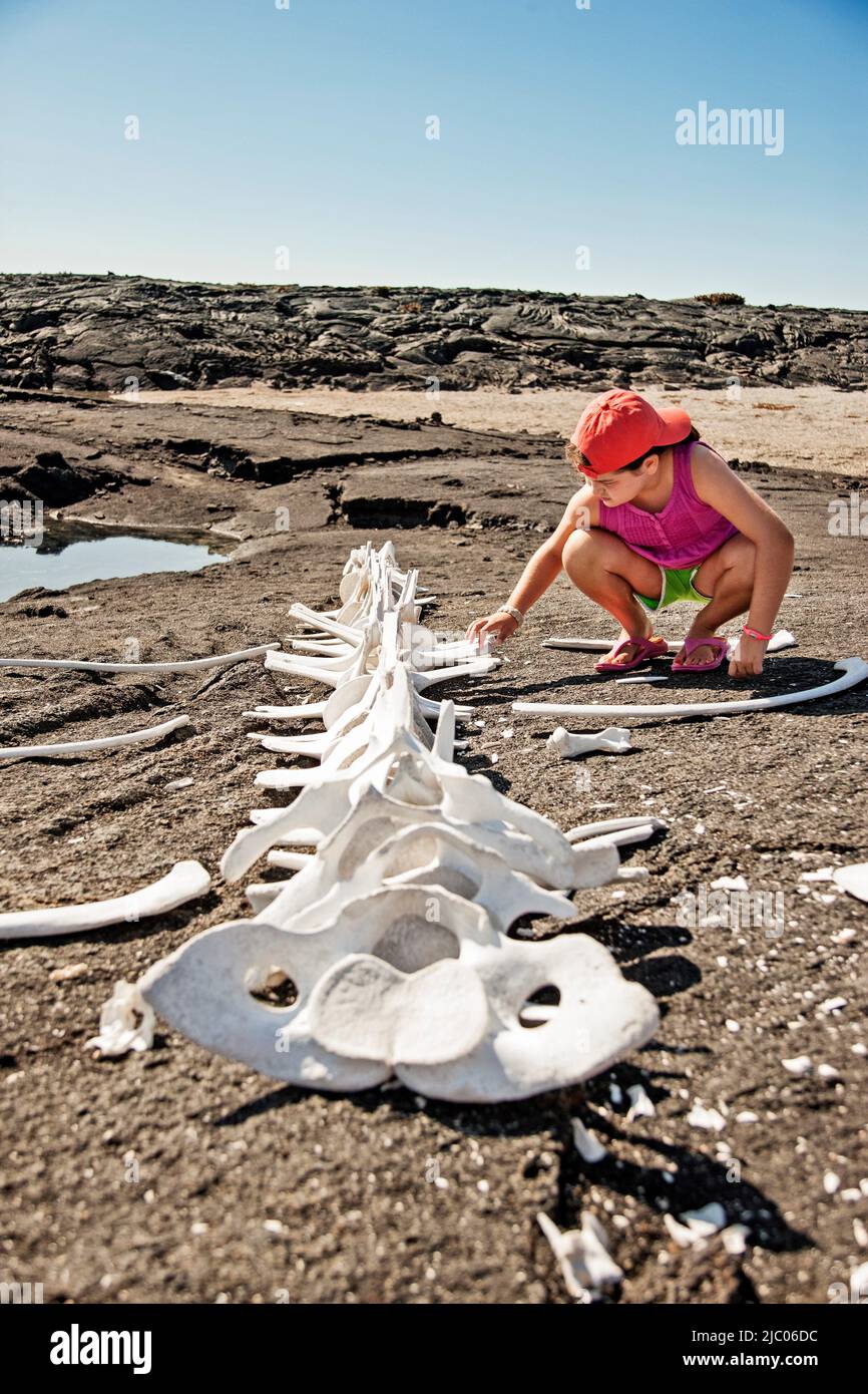 Crouching skeleton hi-res stock photography and images - Alamy