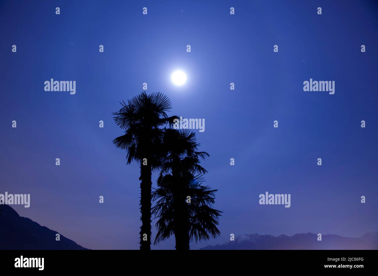 Palm Trees and Full Moon with Halo in Ticino, Switzerland Stock Photo ...
