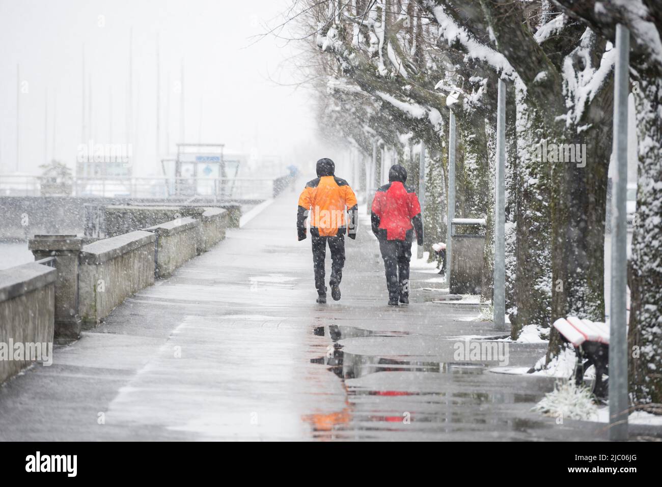 Two Persons Walking on the Walkway with Trees in a Snowy Day in Locarno ...
