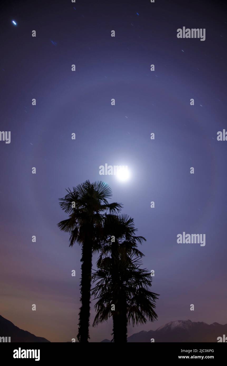 Halo with trees hi-res stock photography and images - Alamy