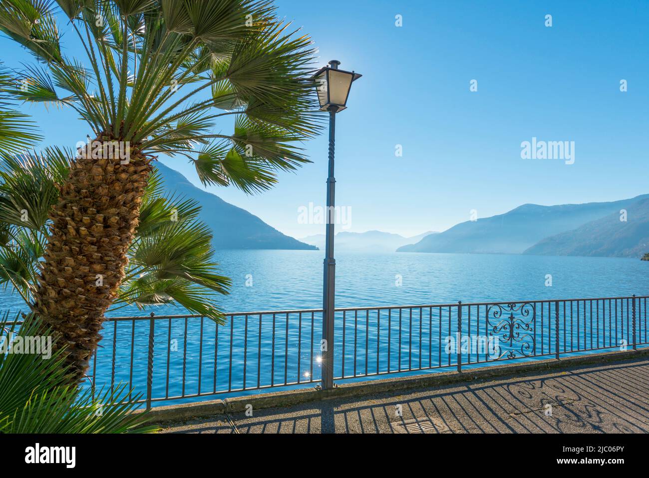 Palm Tree and street Lamp with Railing on Walkway on Alpine lake ...