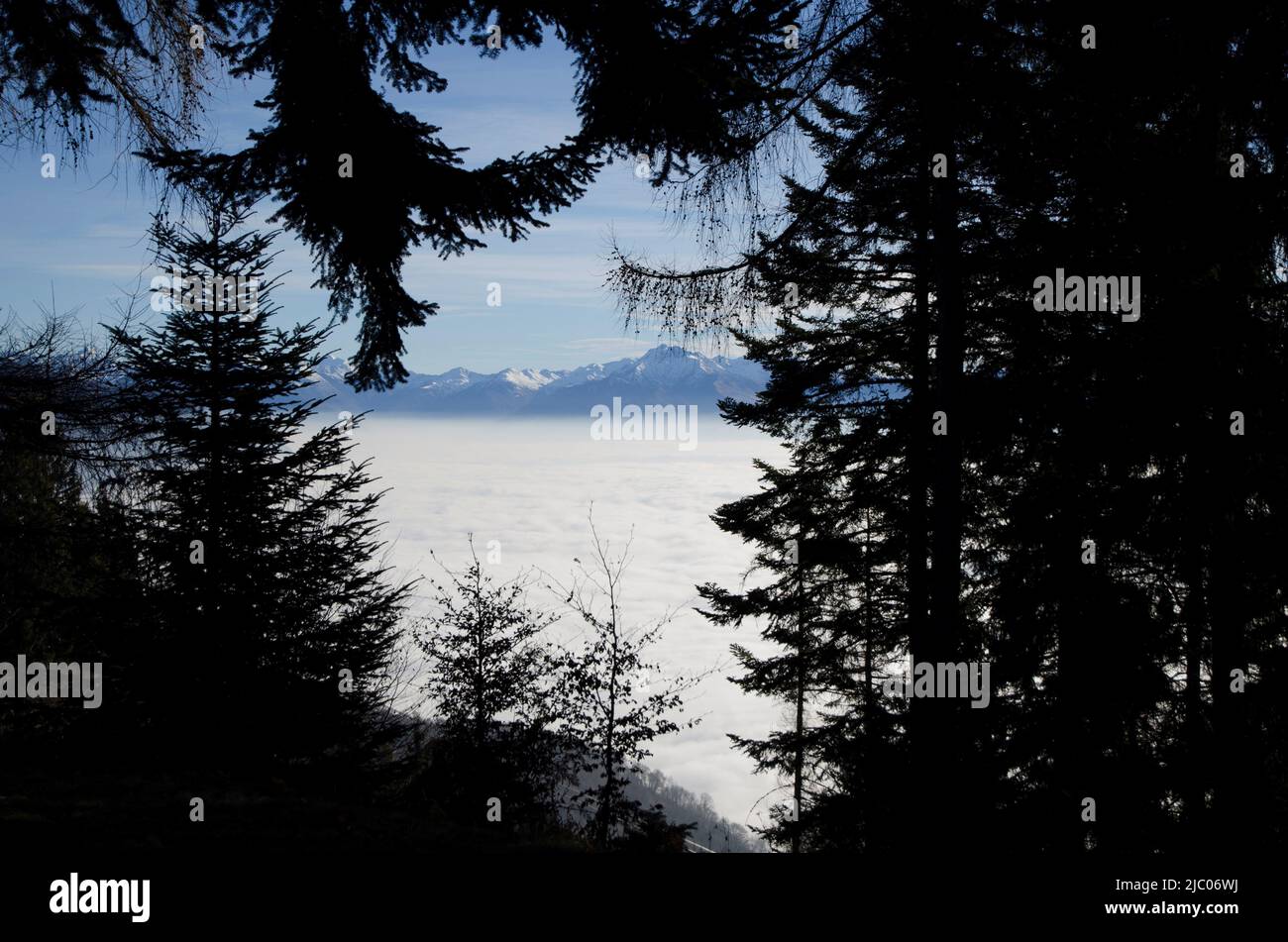 Snow-capped Mountain Above Cloudscape and Tree Branch in Locarno ...