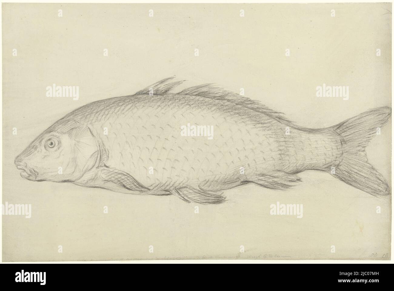 417 mm hi-res stock photography and images - Alamy