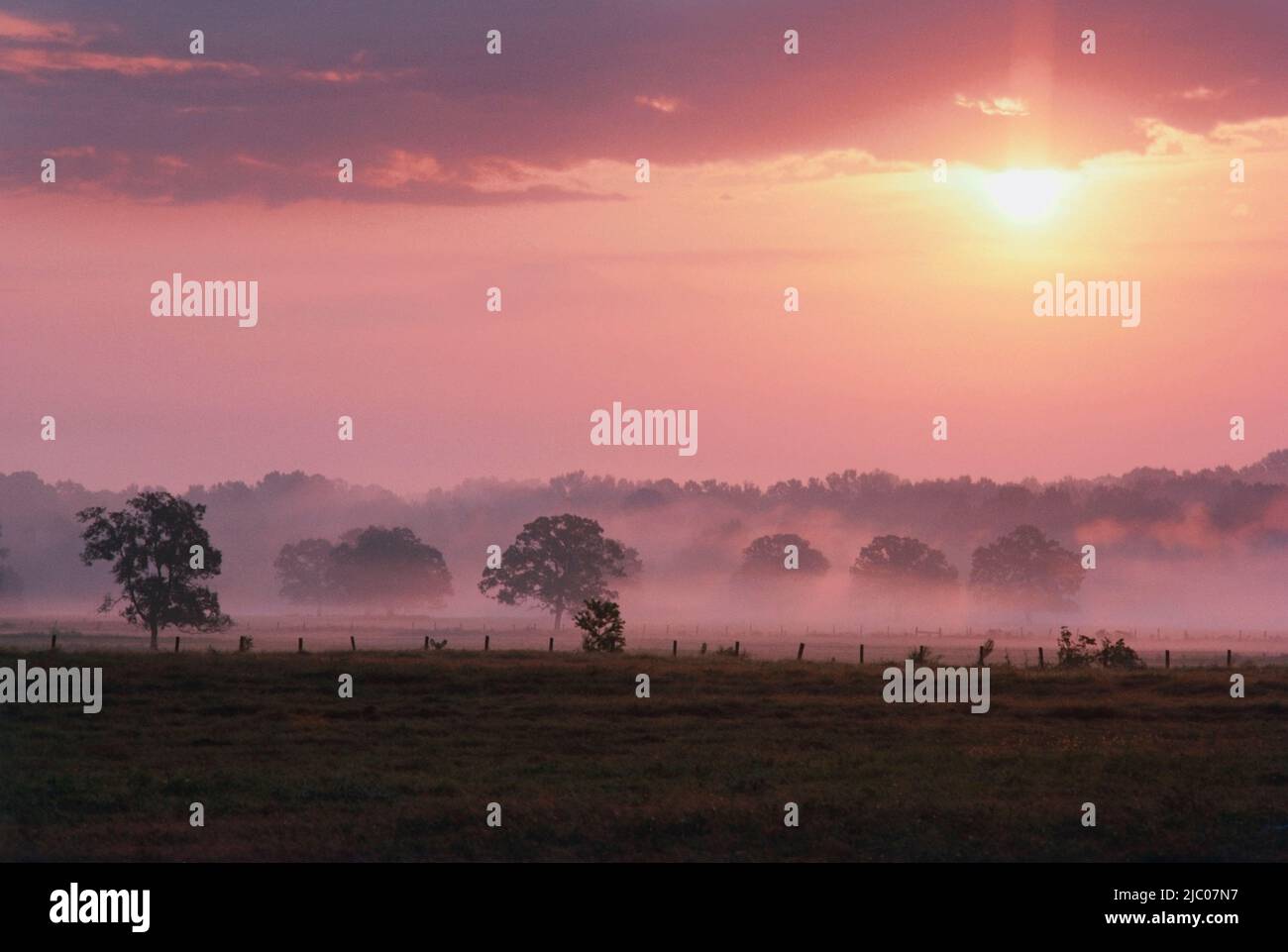 Foggy countryside landscape at sunrise, Texas, USA Stock Photo - Alamy