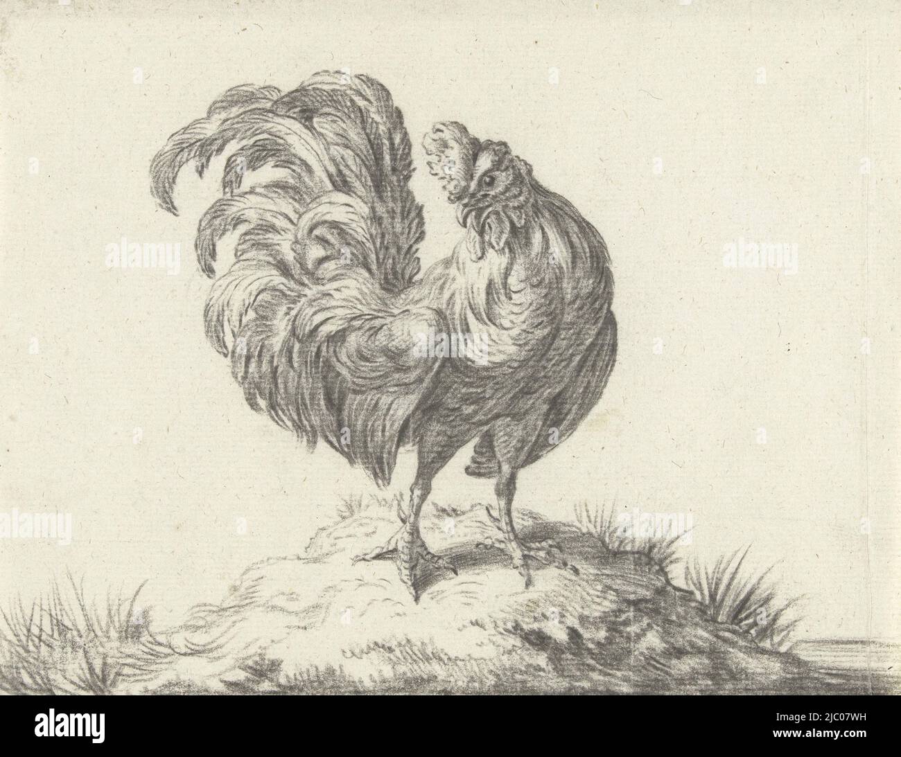 Chicken, standing on a hill, draughtsman: Jean Bernard, 1775 - 1833 ...