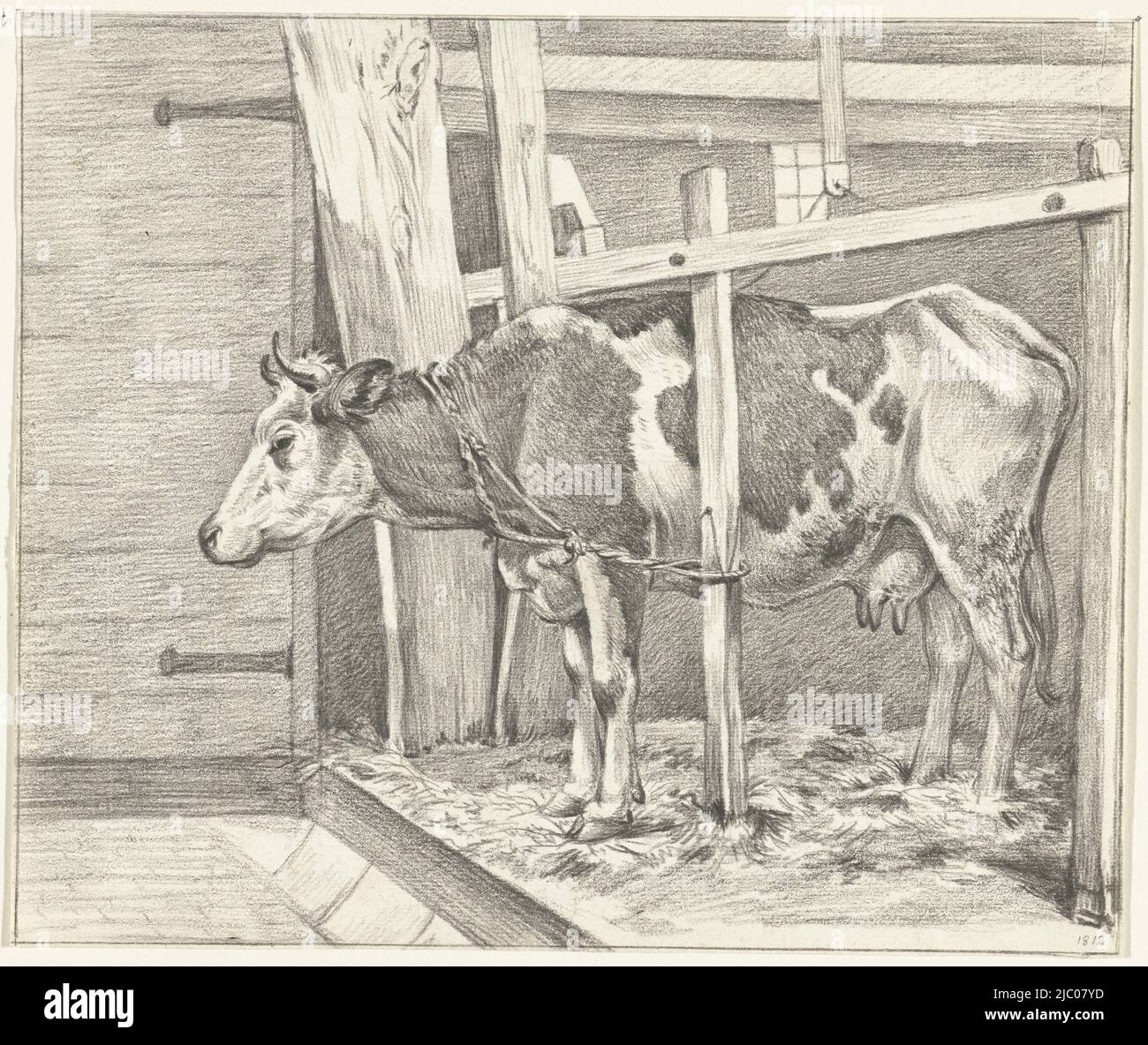 Standing cow in the barn, draughtsman: Jean Bernard, 1812, paper, h 220 ...