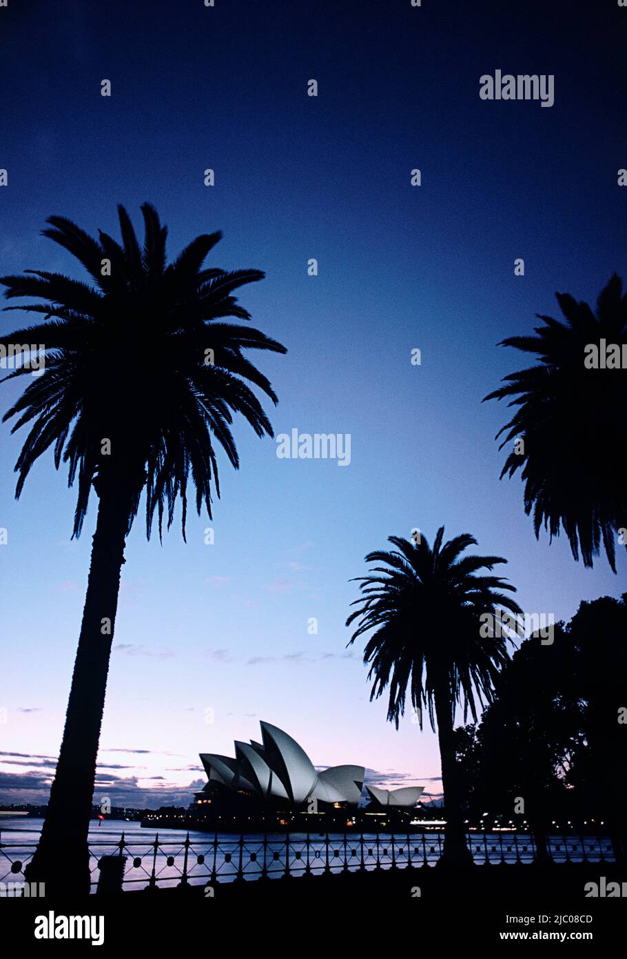 Silhouette of palm trees with an opera house in the background, Sydney ...