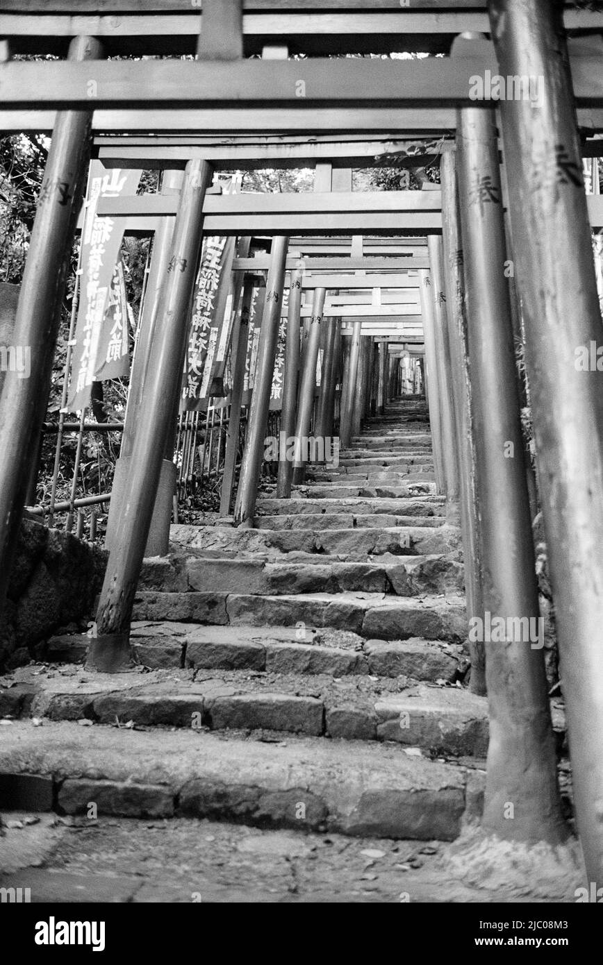 Japan, Tokyo, Torii Gates Stock Photo - Alamy