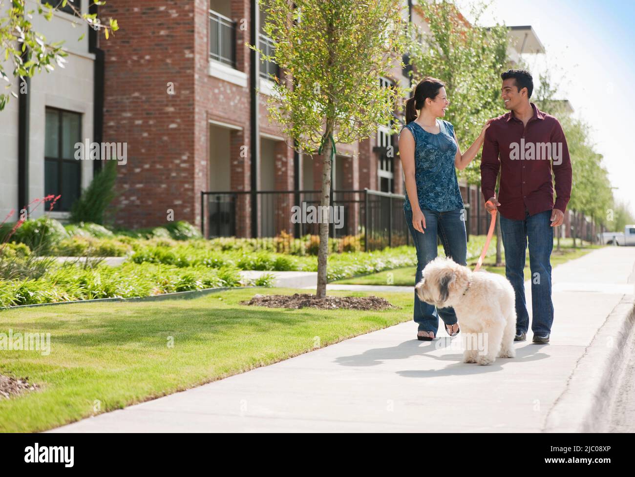 Indian person walking dog hi-res stock photography and images - Alamy