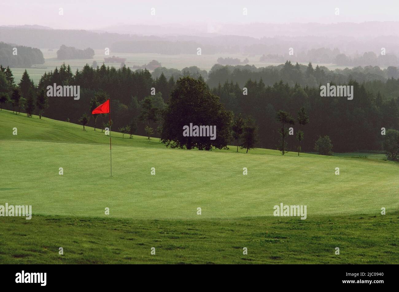 Golf flag in a golf course, Bavaria, Germany Stock Photo - Alamy