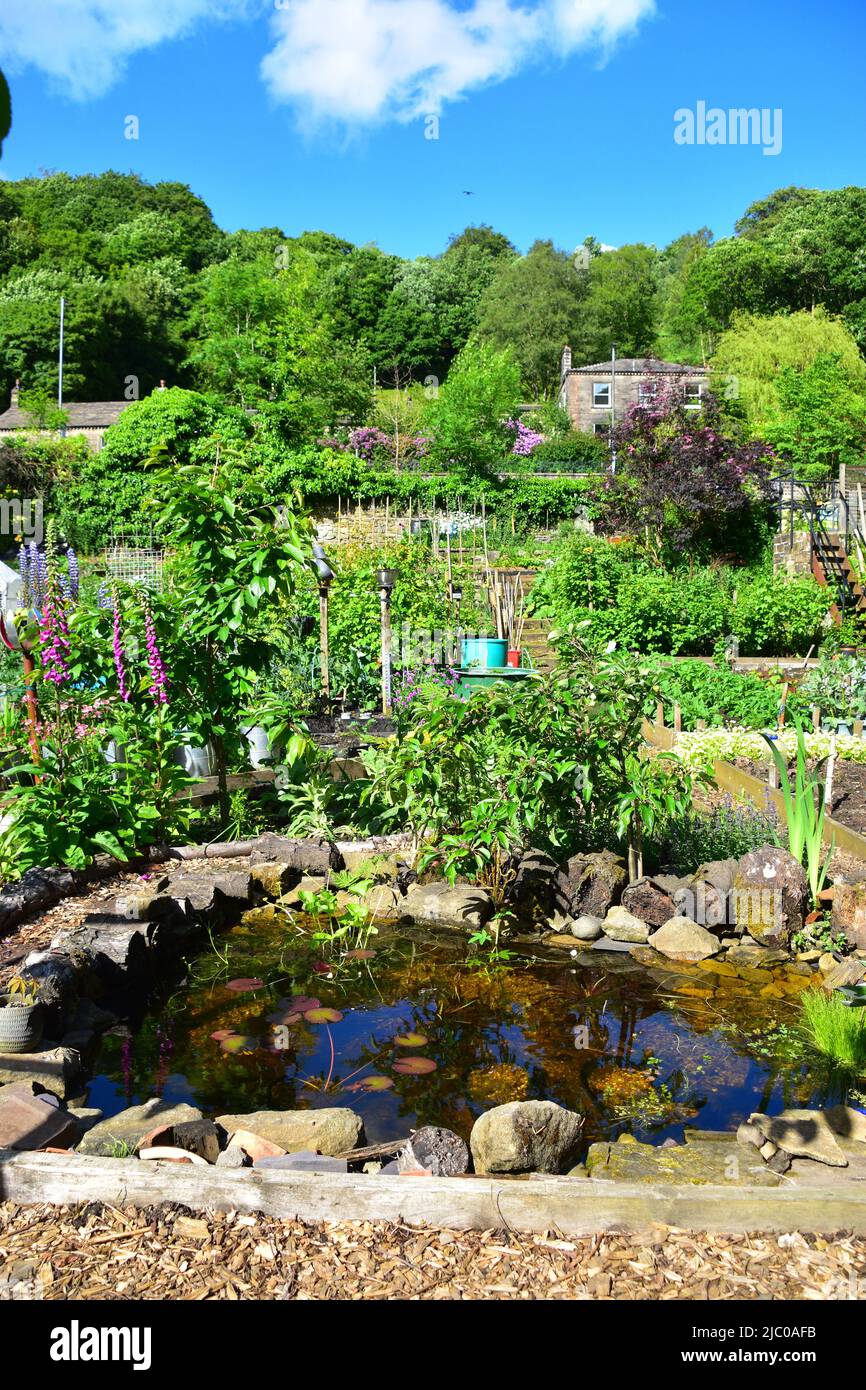 Ecosystem pond hi-res stock photography and images - Alamy