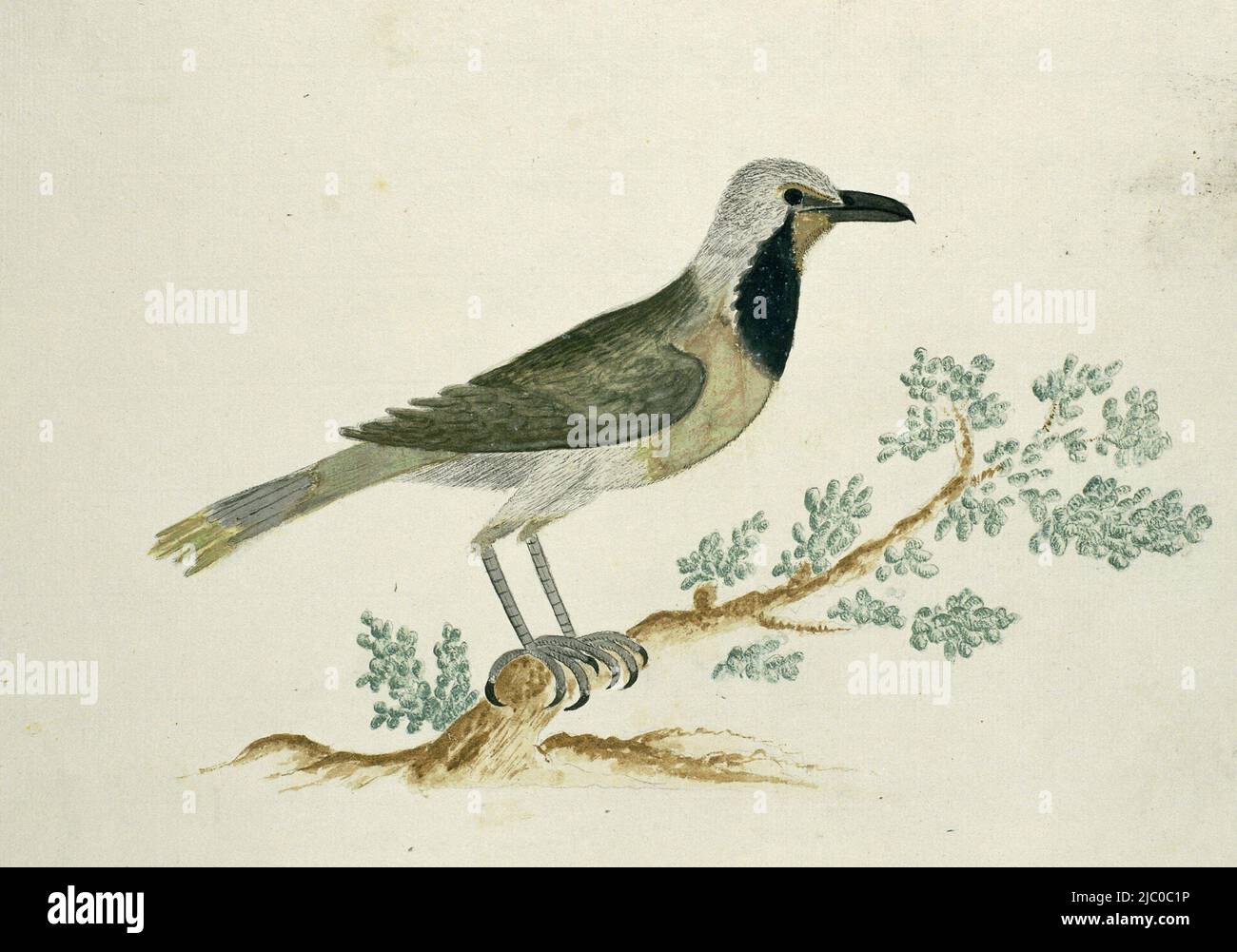 30 dec 1778 hi-res stock photography and images - Alamy