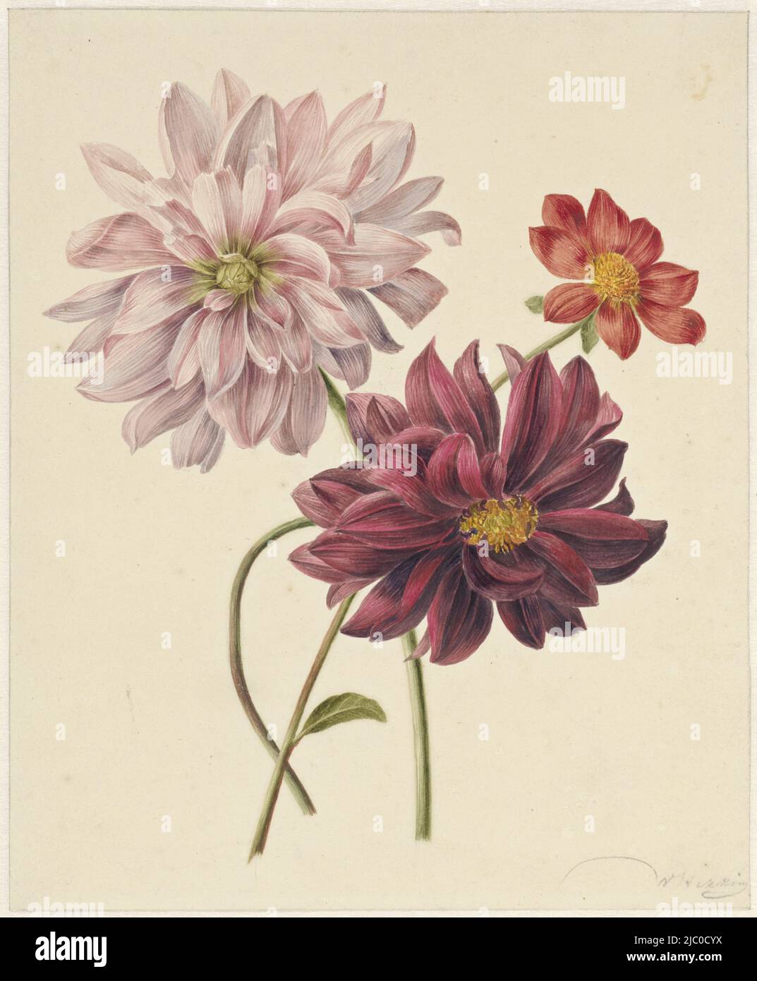 Willem hekking jr hi-res stock photography and images - Alamy