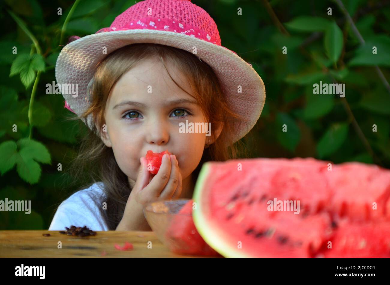 Funny portrait of an incredibly beautiful little girl eating watermelon ...