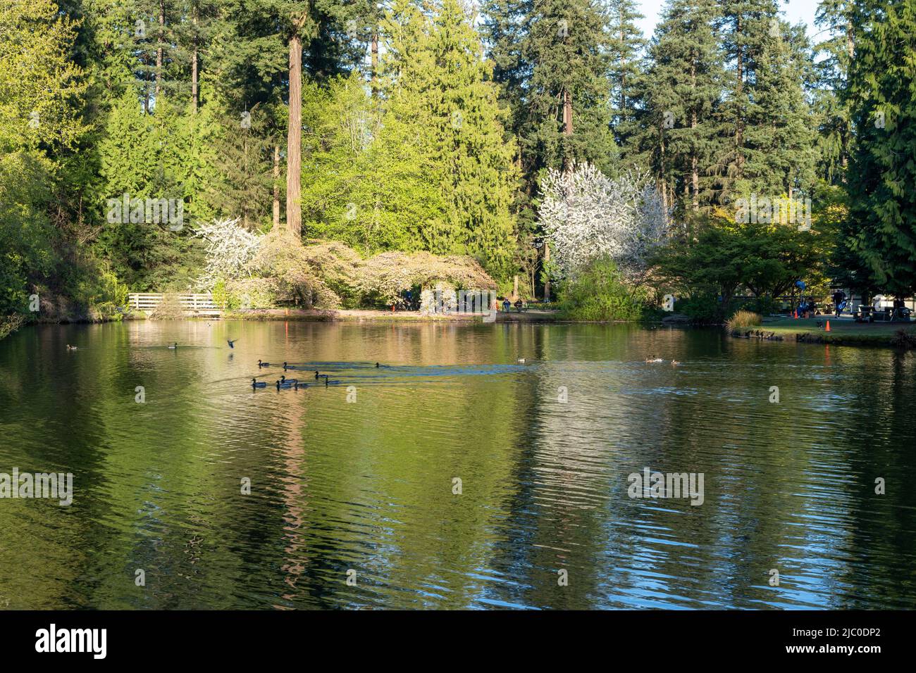 Burnaby british columbia hi-res stock photography and images - Alamy