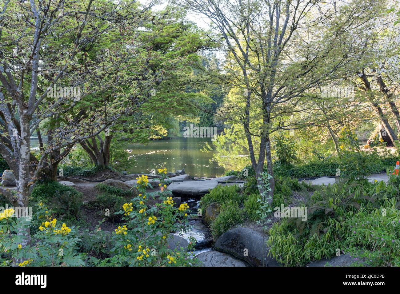Burnaby central park hi-res stock photography and images - Alamy
