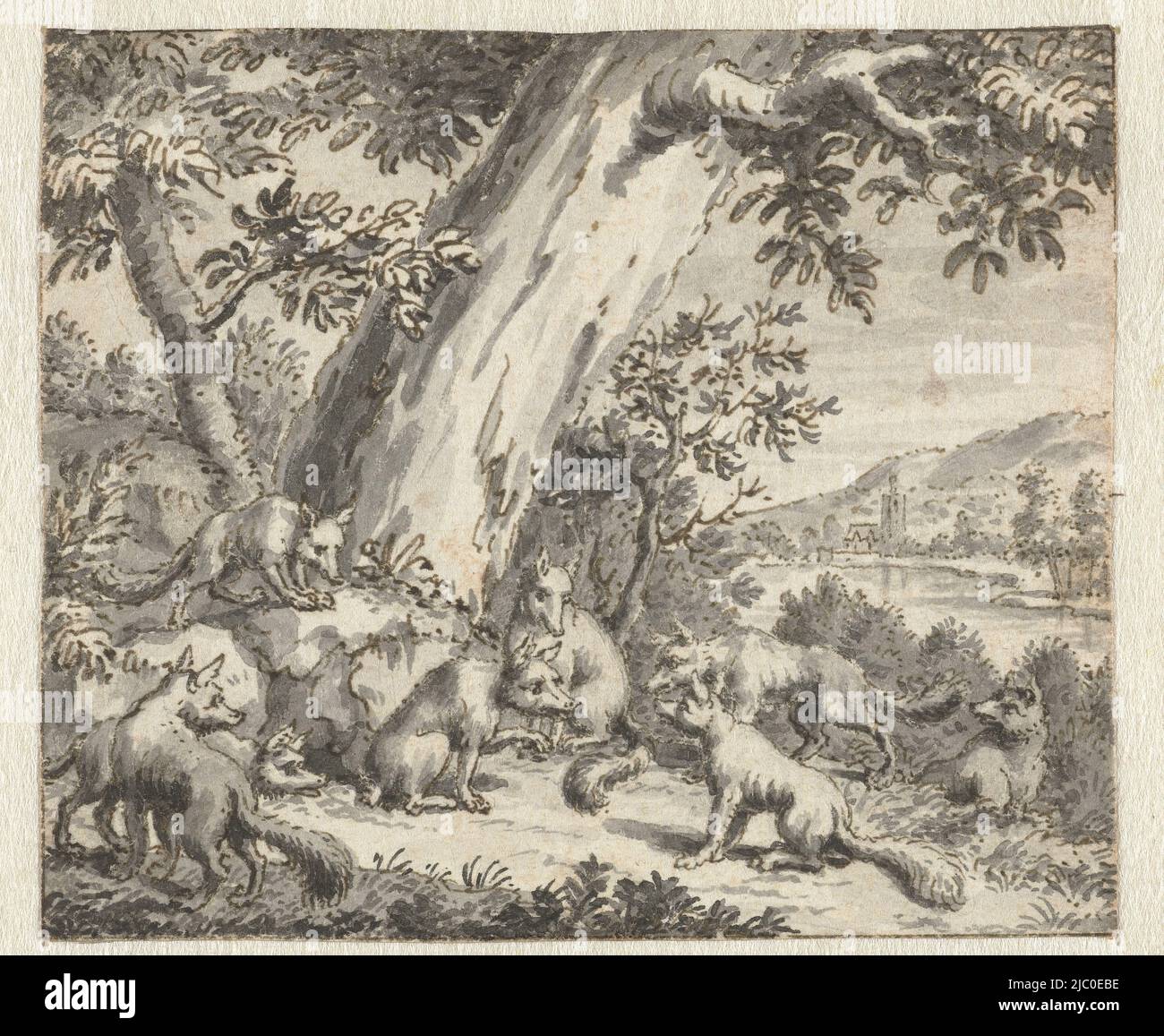 Tail cut designs hi-res stock photography and images - Alamy