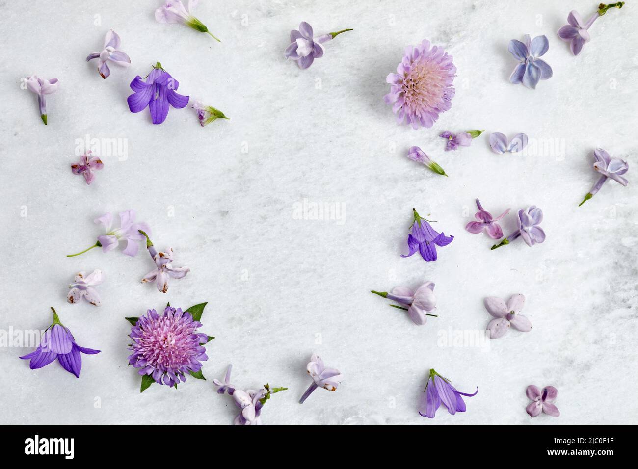 Lilac flower pattern background top view, flat lay Stock Photo - Alamy