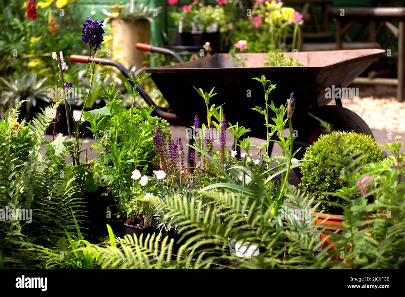 Victorian wheelbarrow hi-res stock photography and images - Alamy