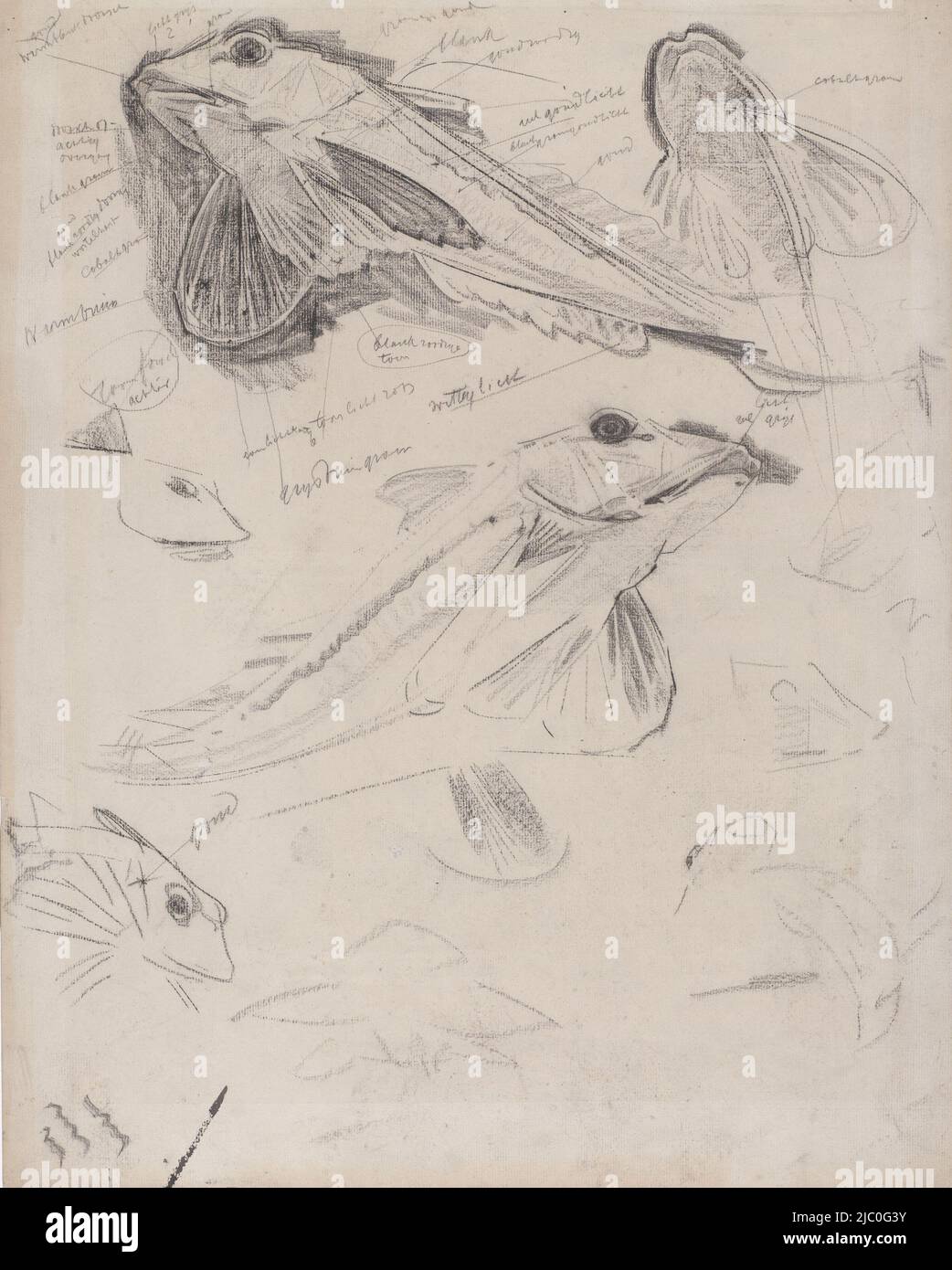 426 mm hi-res stock photography and images - Alamy