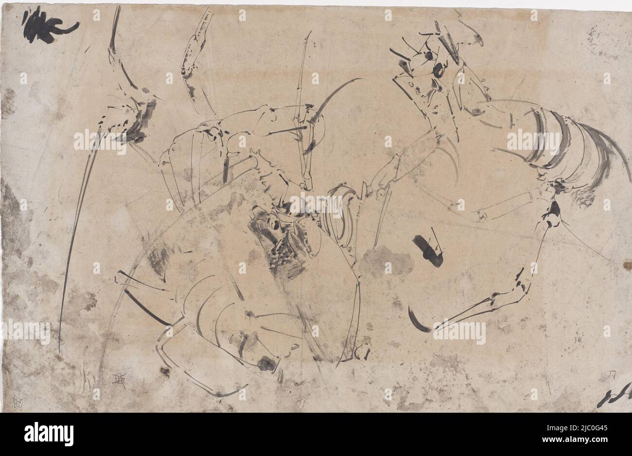 Study sheet with lobsters, draughtsman: Gerrit Willem Dijsselhof, 1876 ...