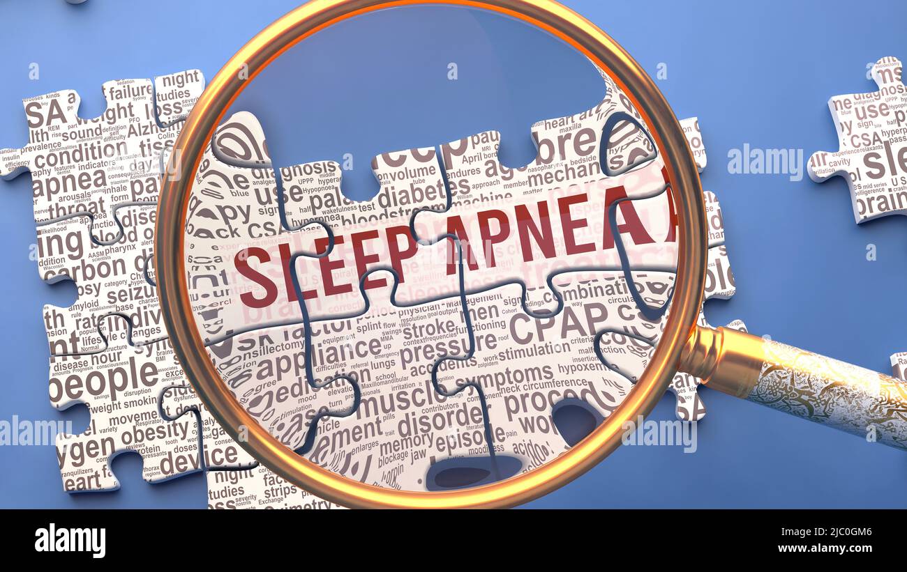 Sleep apnea as a complex and multipart topic under close inspection ...