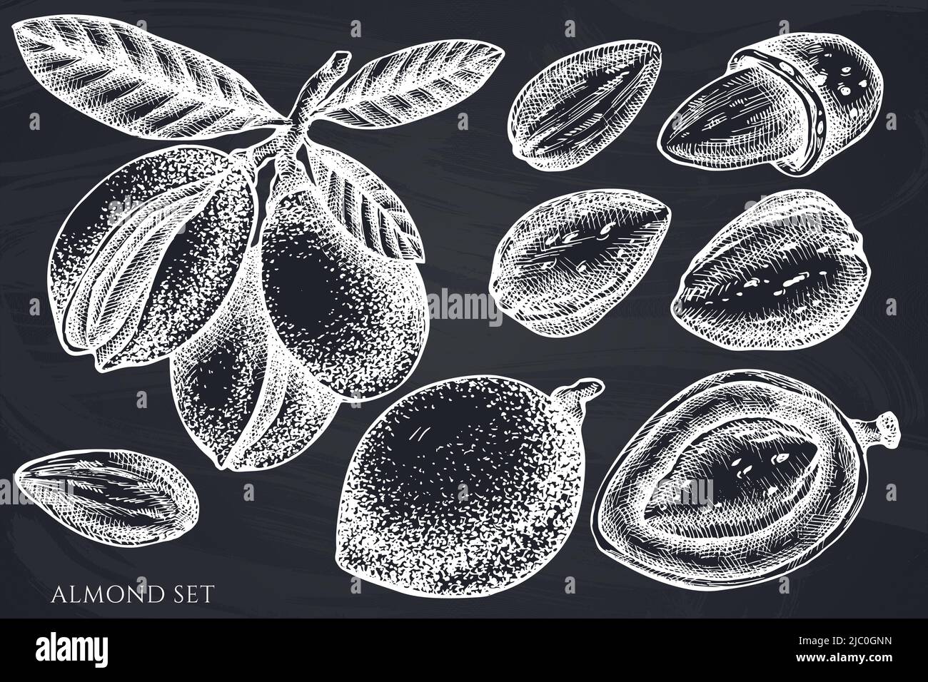 Vector set of hand drawn chalk almond Stock Vector Image & Art - Alamy
