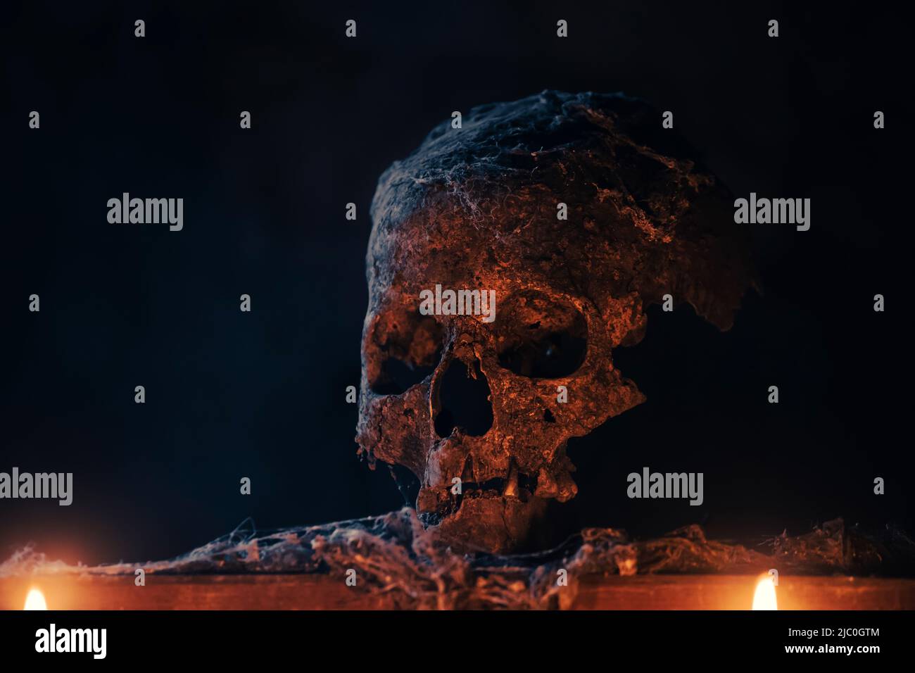 Real human skull in mysterious, foggy light. Spooky, horror wallpaper ...