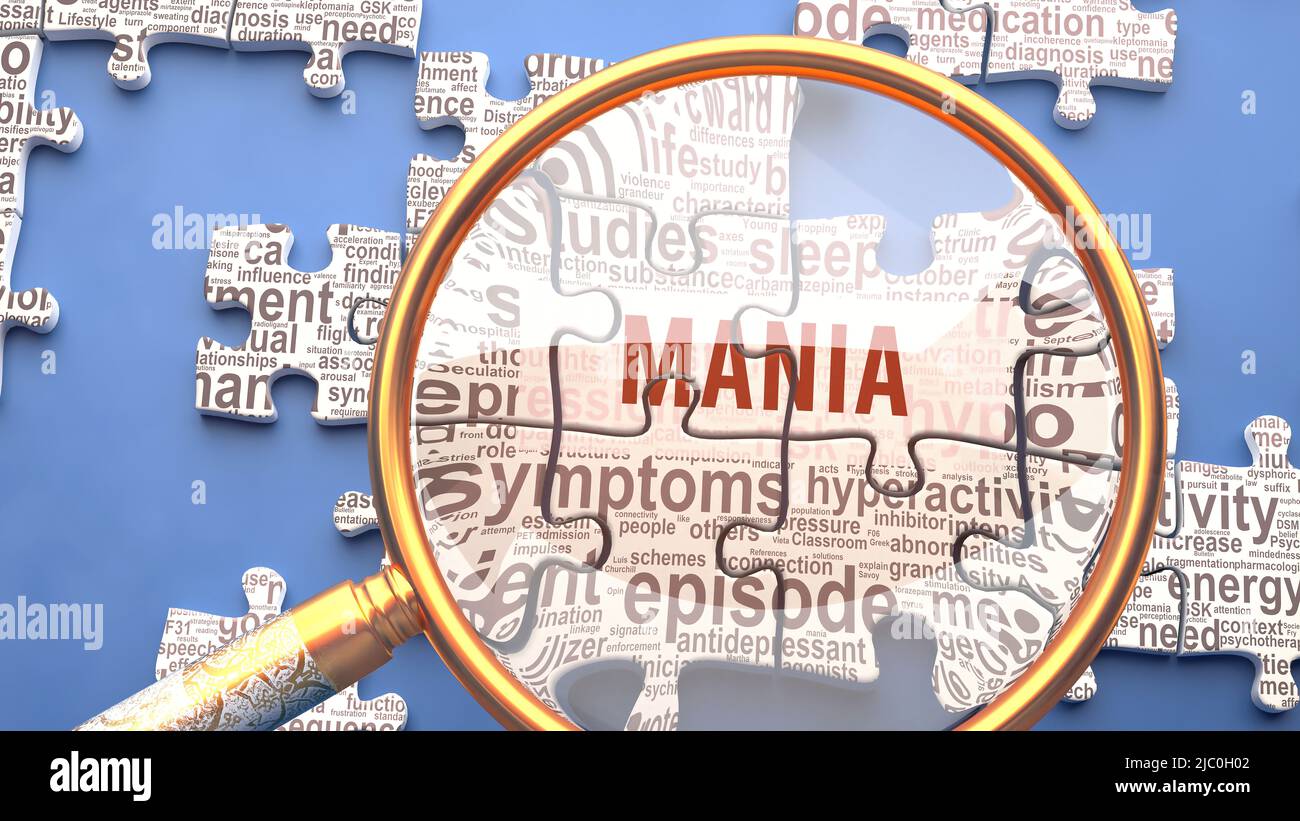 Mania as a complex and multipart topic under close inspection ...