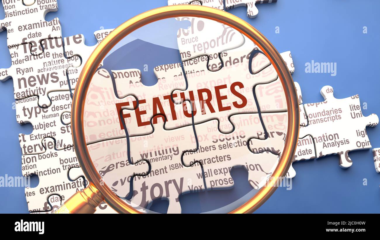 Features as a complex and multipart topic under close inspection ...
