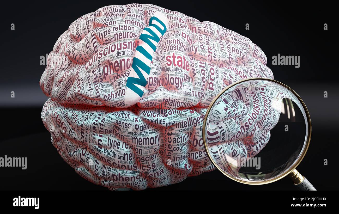 Mind in human brain, a concept showing hundreds of crucial words ...