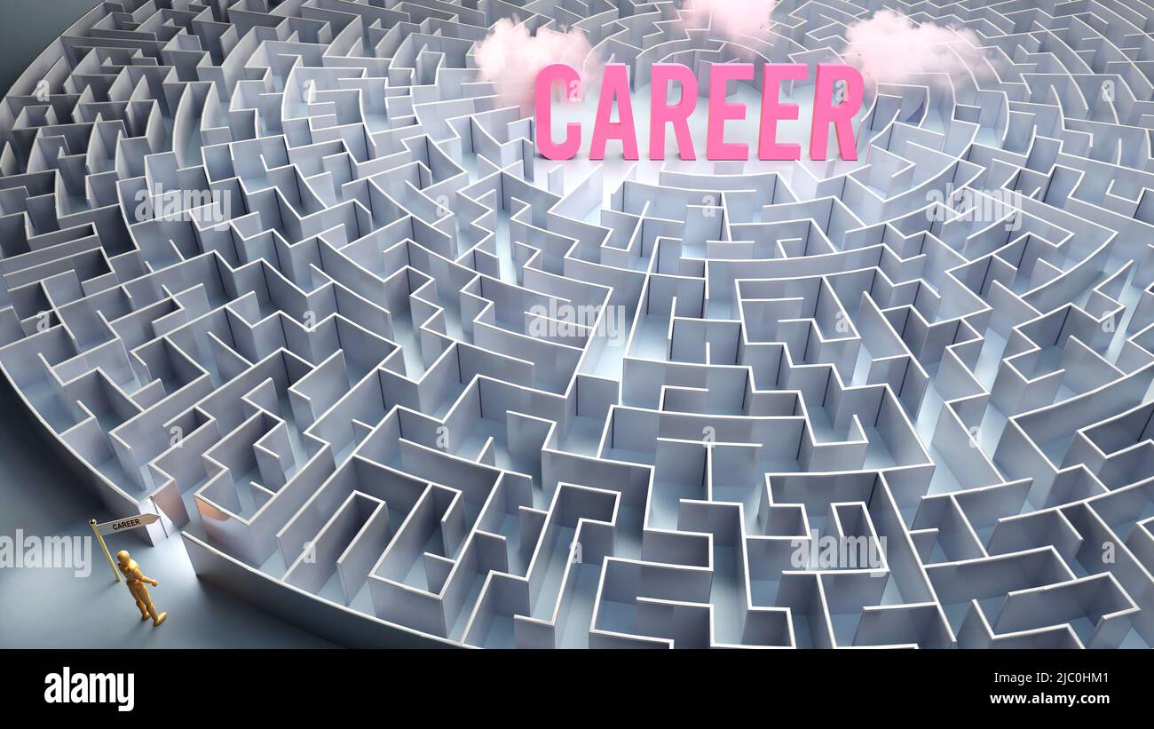 Career and a difficult path, confusion and frustration in seeking it ...