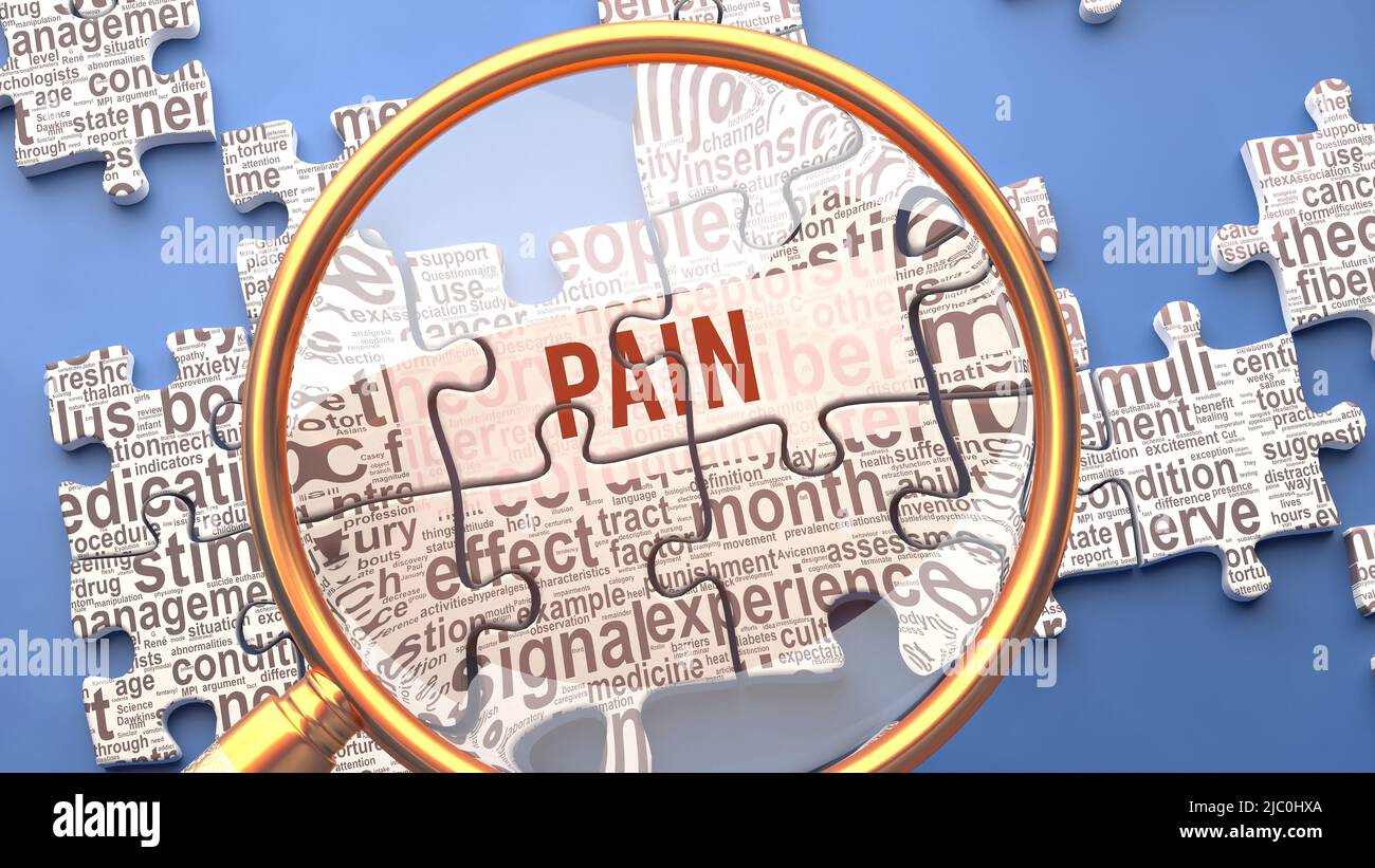 Pain as a complex and multipart topic under close inspection ...