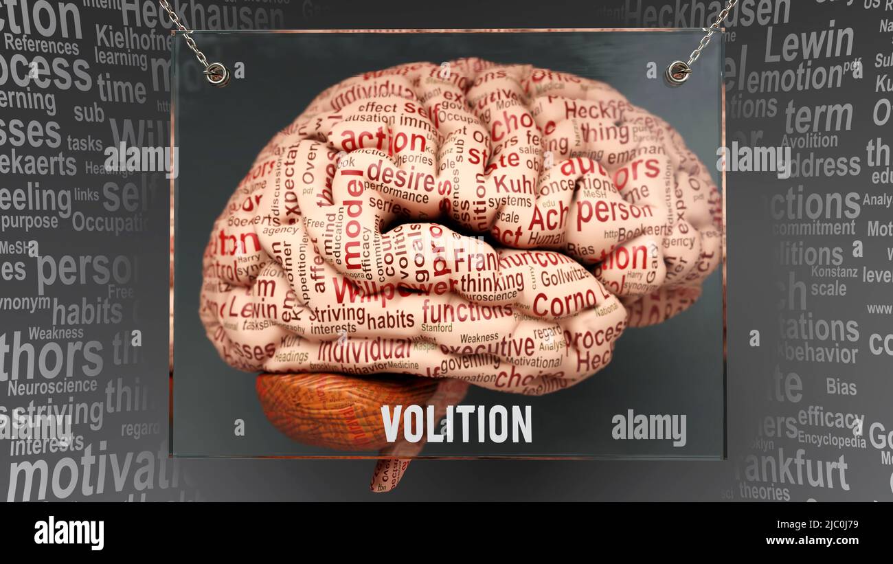 Volition in human brain hi-res stock photography and images - Alamy