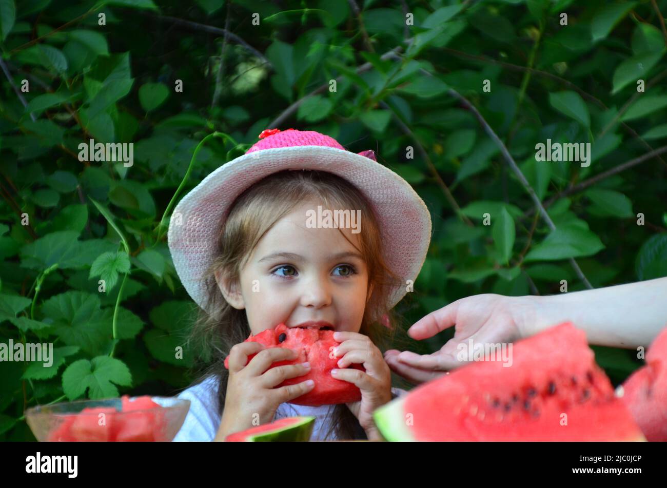 Funny portrait of an incredibly beautiful little girl eating watermelon ...