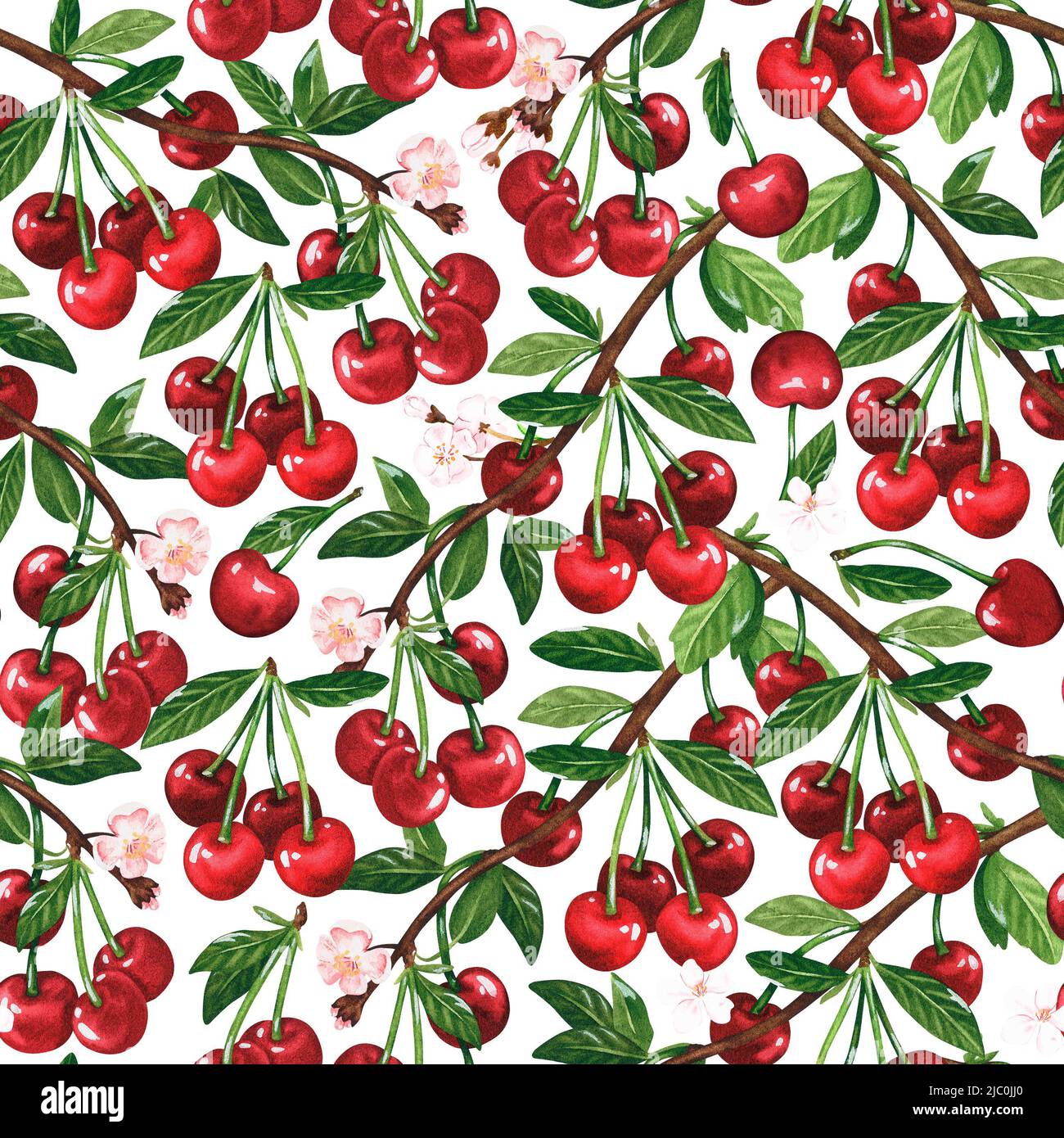 Cherry Seamless Pattern. Watercolor illustration. Isolated on a white ...