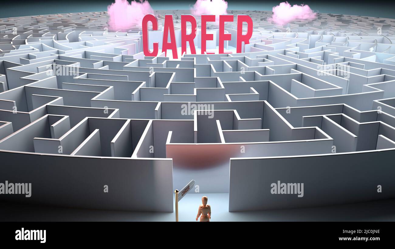 Career and a challenging path that leads to it - confusion and ...