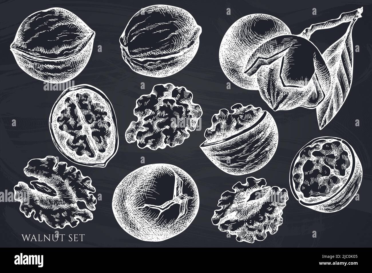 Vector set of hand drawn chalk walnut Stock Vector Image & Art - Alamy