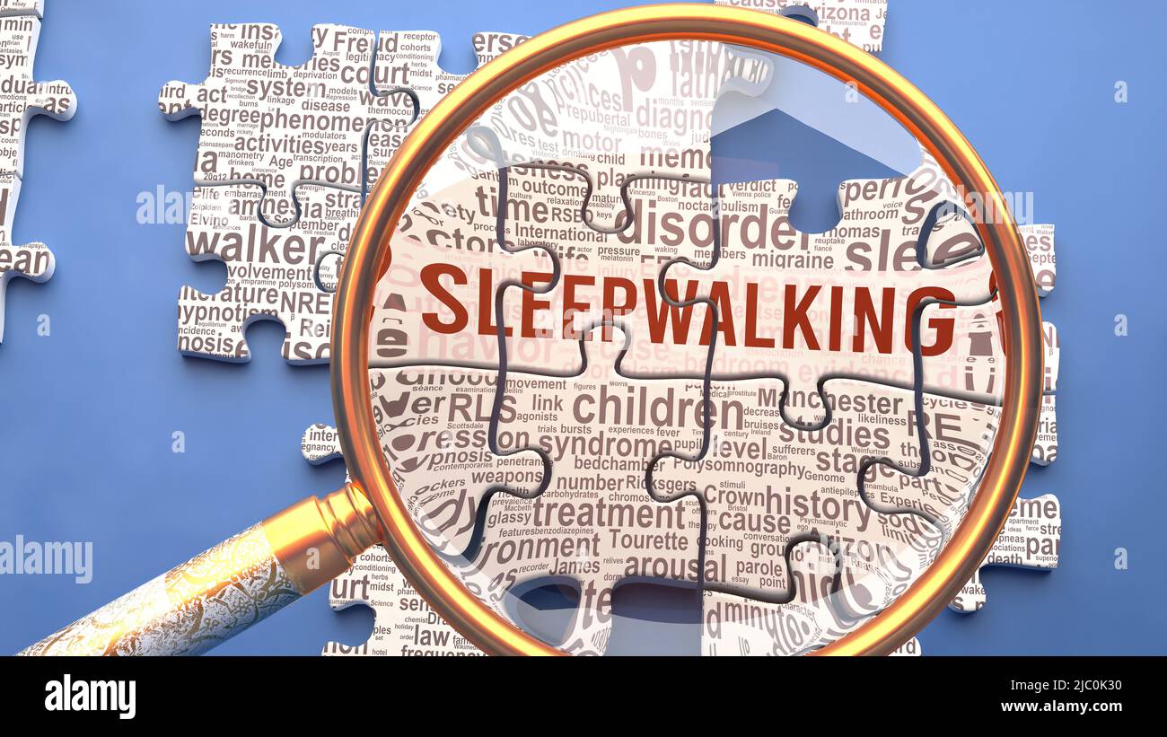 Sleepwalking as a complex and multipart topic under close inspection ...