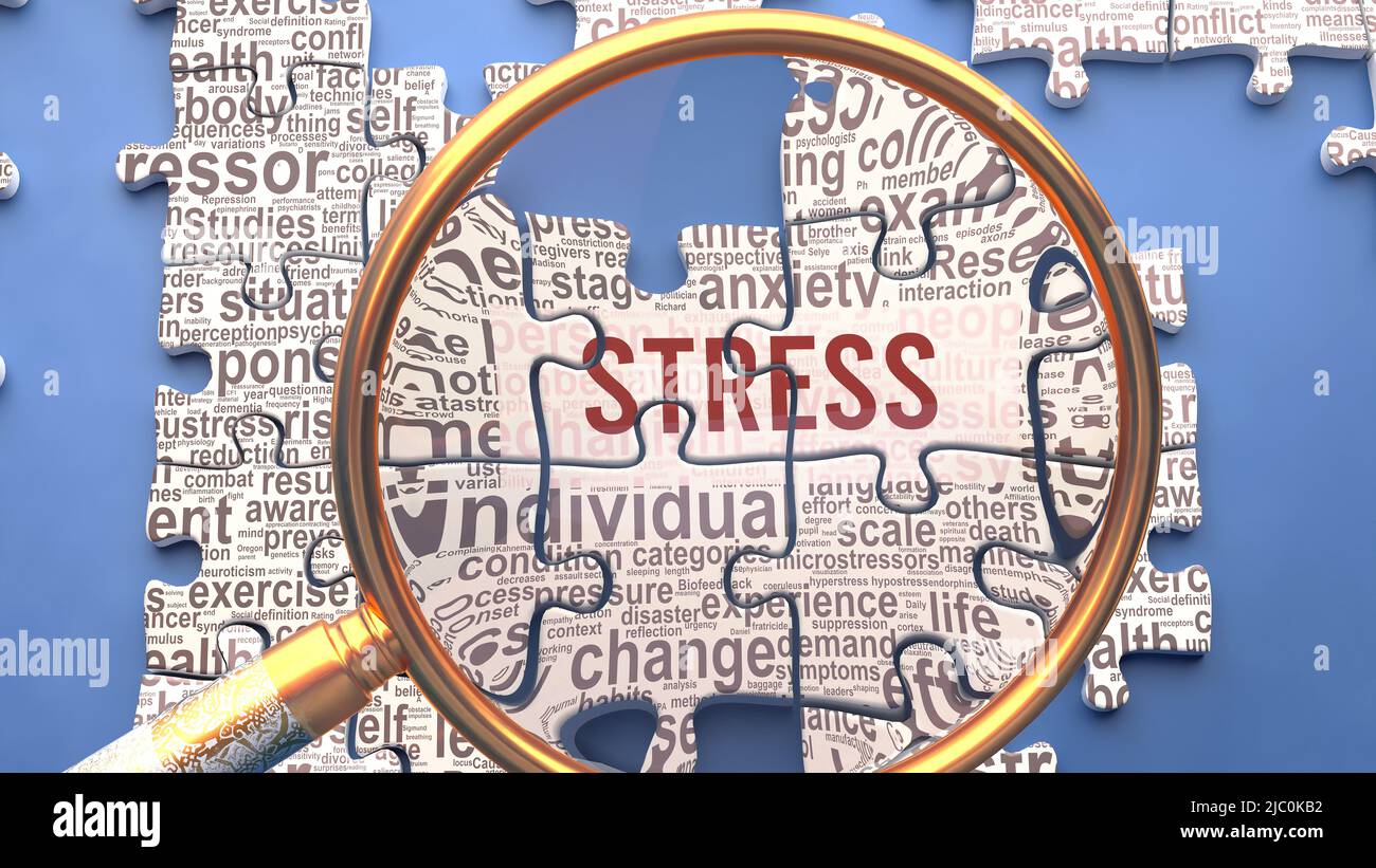 Stress as a complex and multipart topic under close inspection ...