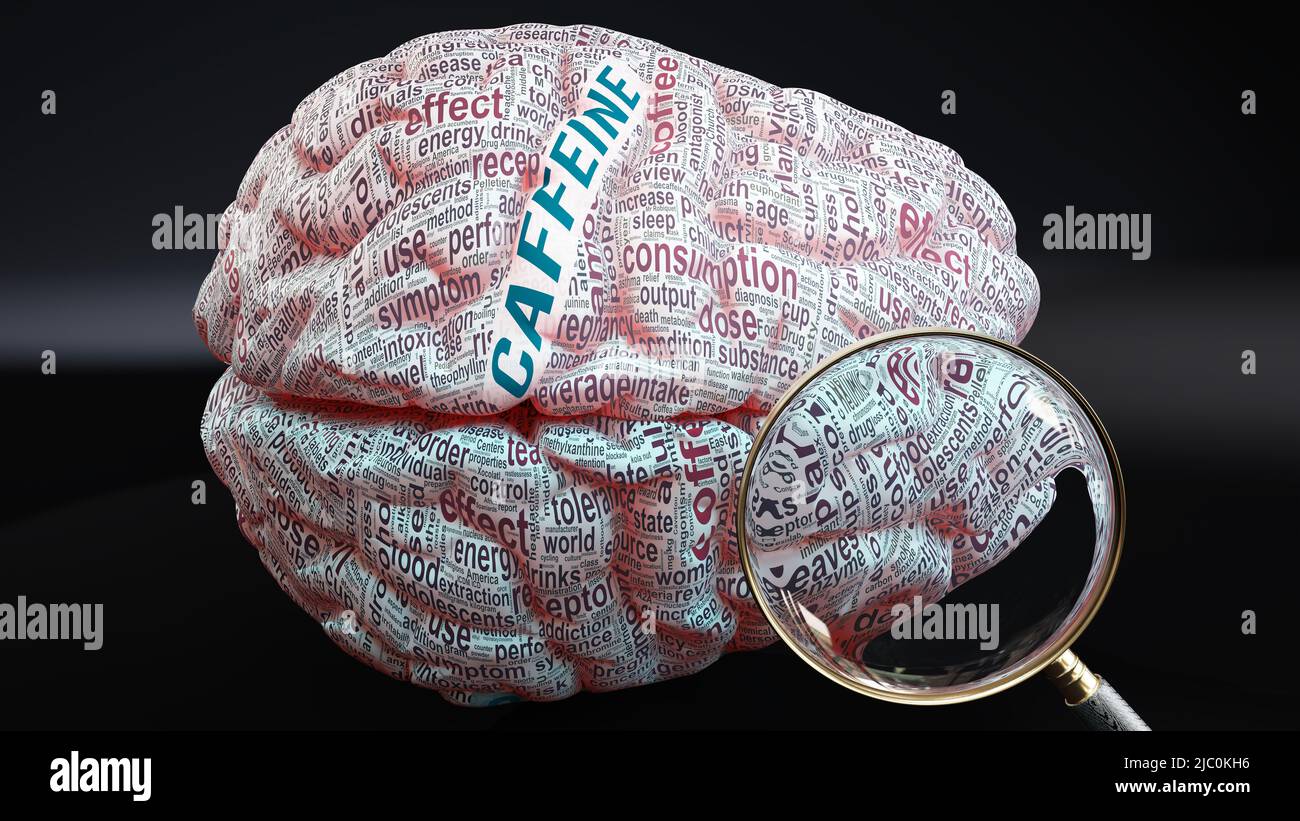 Caffeine in human brain, a concept showing hundreds of crucial words ...