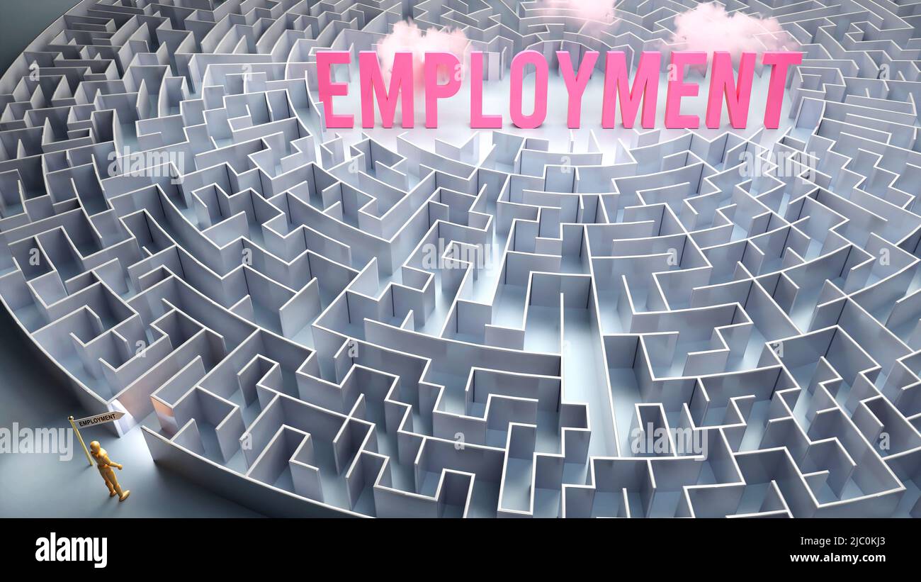 Employment and a difficult path, confusion and frustration in seeking ...
