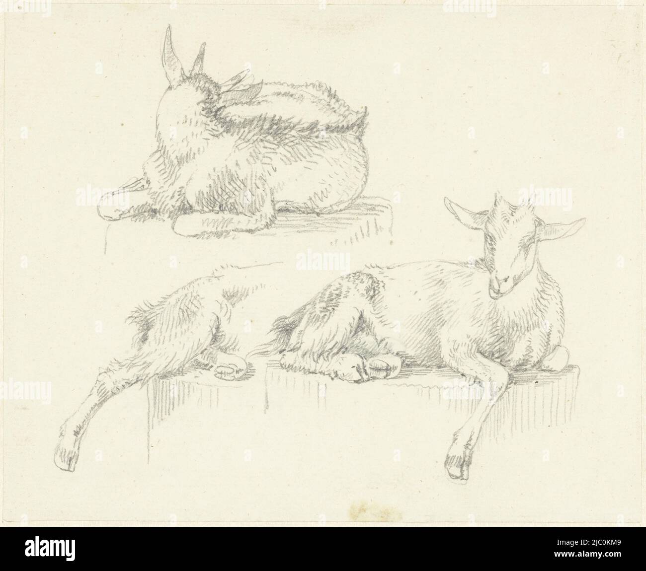 Three studies of lying goats, draughtsman: Josephus Augustus Knip, 1787 ...